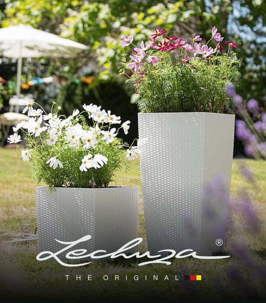 dynco AG | outstanding products - Wholesale in Switzerland